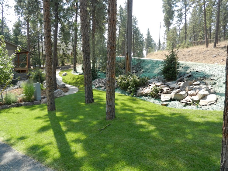 Nature's Enhancement, Inc. > Landscaping > Project Examples > Landscapes